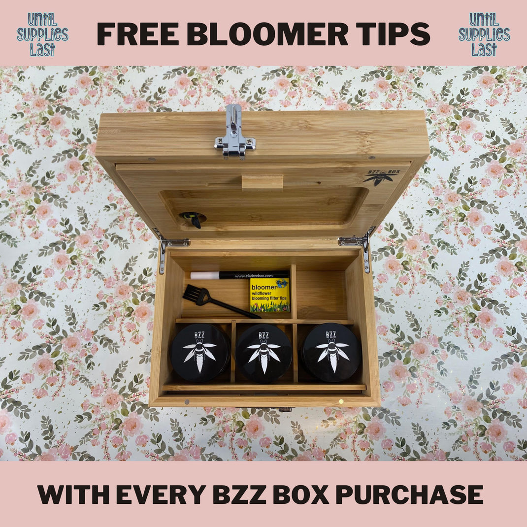 Hash Stash Boxes - Lockable & Smell Proof Boxes, Bzz Box