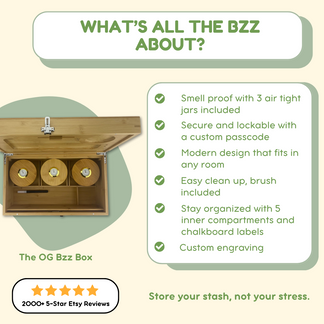 The Treasure Chest (XL Stash Box) – Bzz Box
