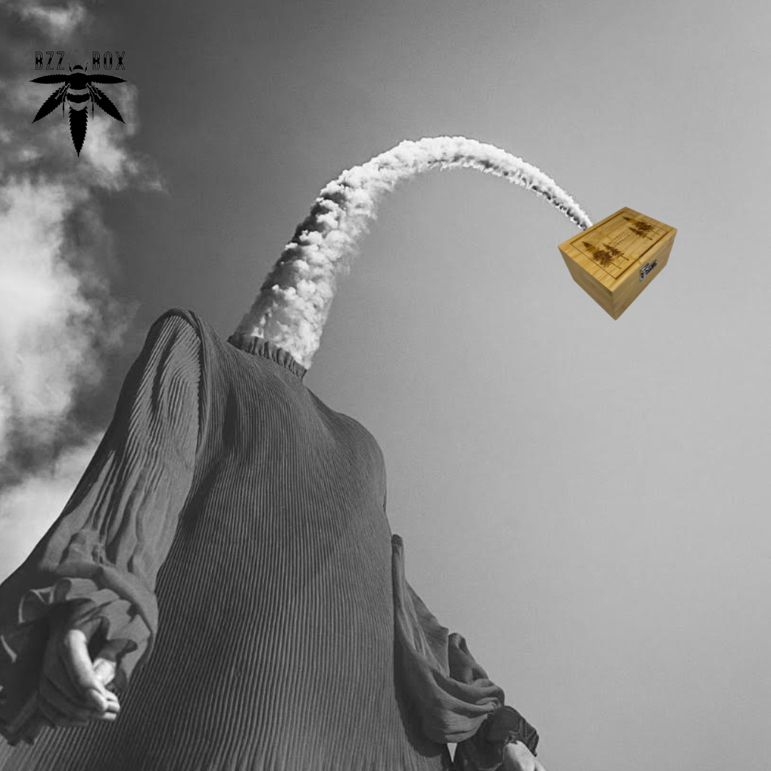 Stash Boxes - Lockable & Smell Proof Boxes, Bzz Box